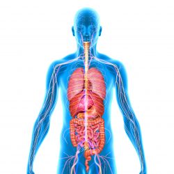Are You Thinking Systemically or Systematically? | Catalysis